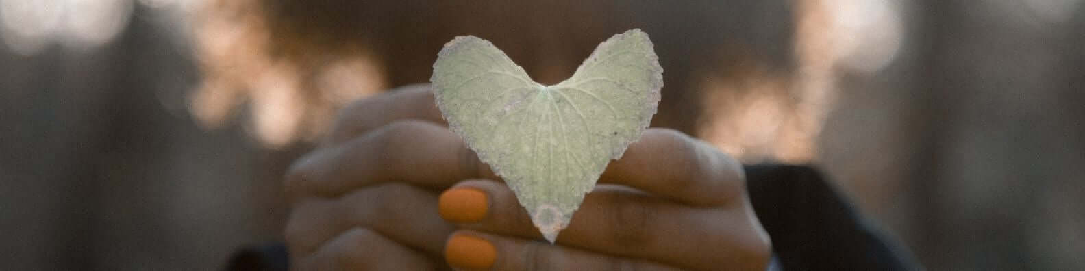 FLW The Supplement For Cardiovascular Support